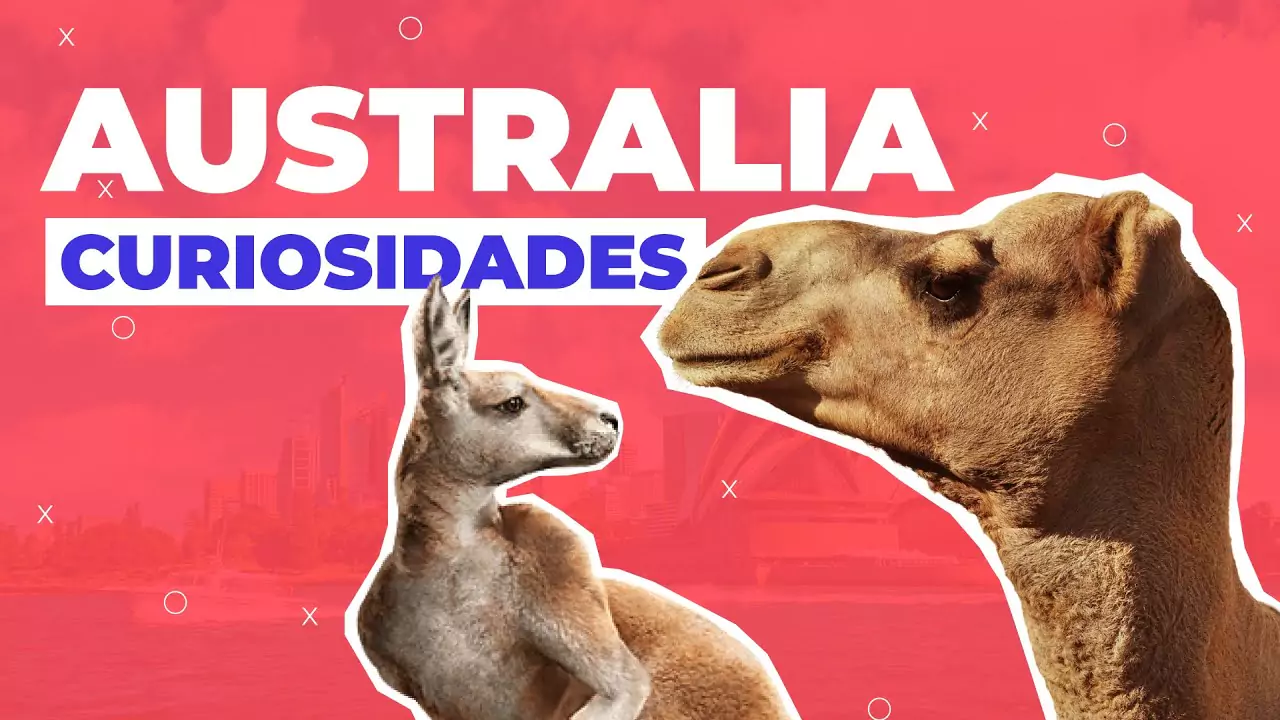 24 Curiosidades de Australia que te encantará conocer
