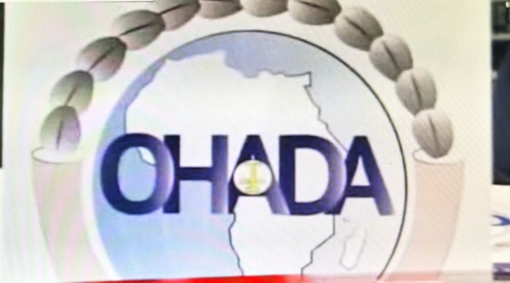 El colegio de expertos contables ecuatoguineano ofrece seminario sobre ...