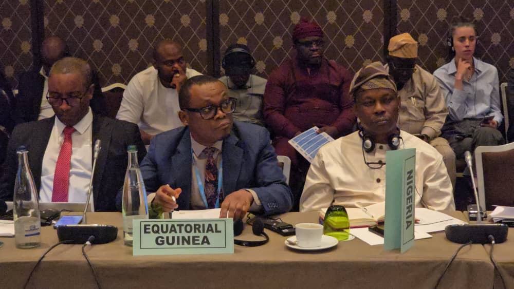 El Ministro de Sanidad representa a Guinea Ecuatorial en la Conferencia ...